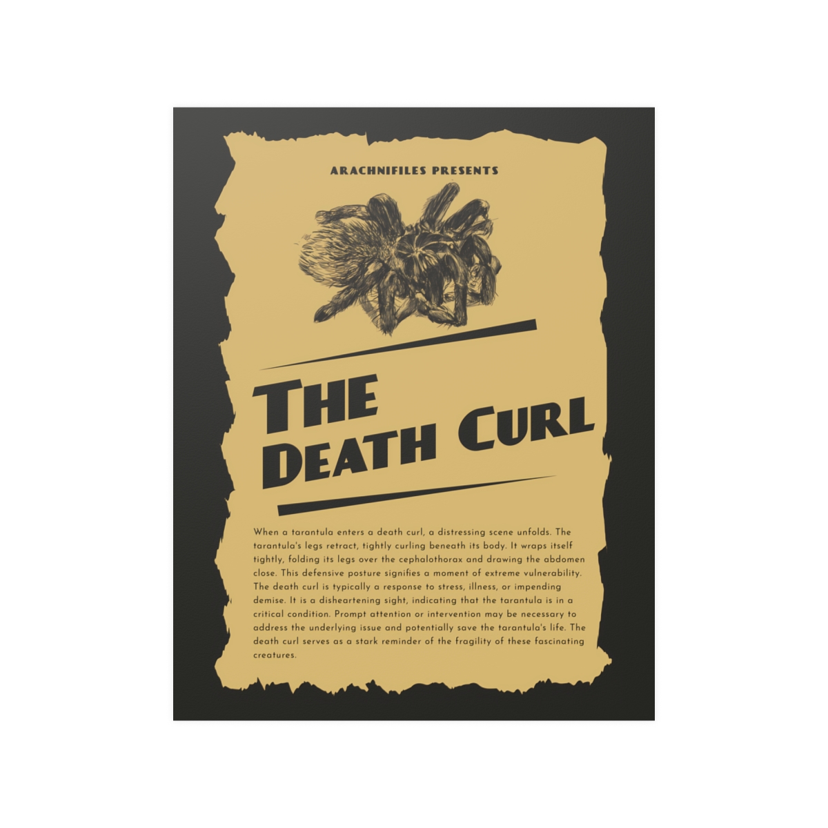The Death Curl - Arachnifiles