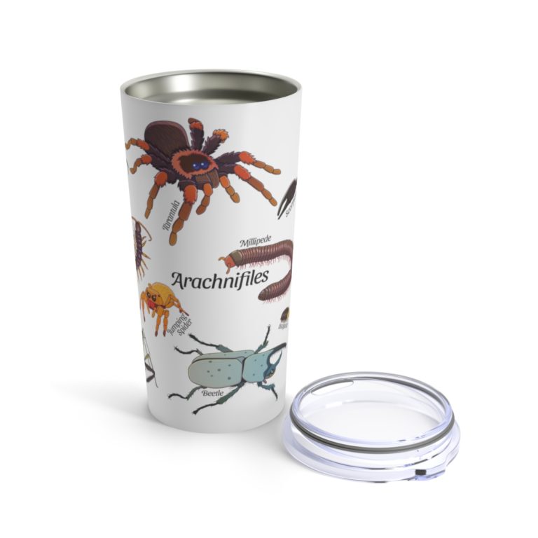 Anatomy Of A Tarantula - Arachnifiles